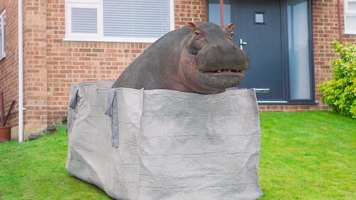 HIPPO - The UK's Trusted Rubbish Removal Service for Over 15 Years